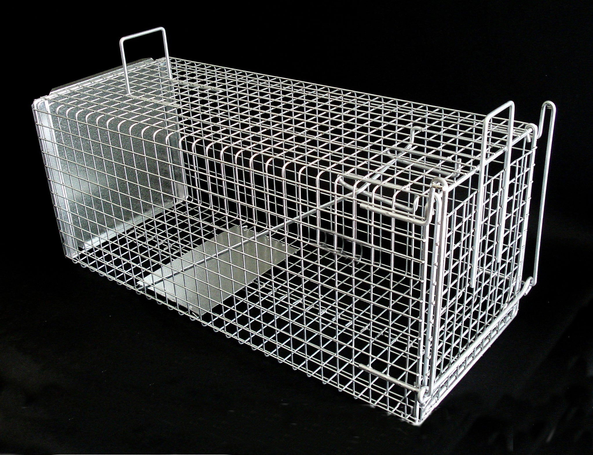 THE JINDABYNE CAT TRAP – IT'S A TRAP!