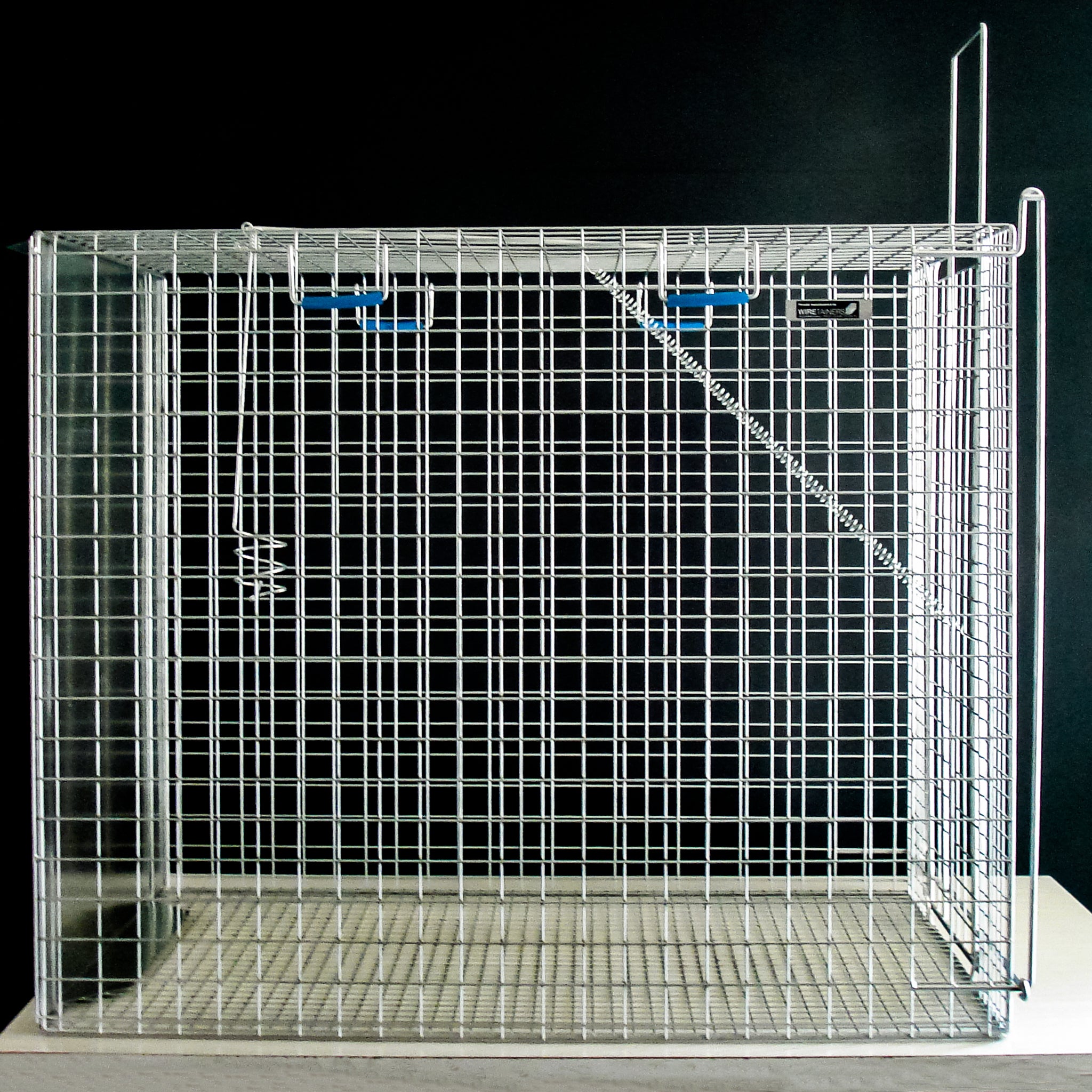 THE TANAMI WILD DOG TRAP – IT'S A TRAP!