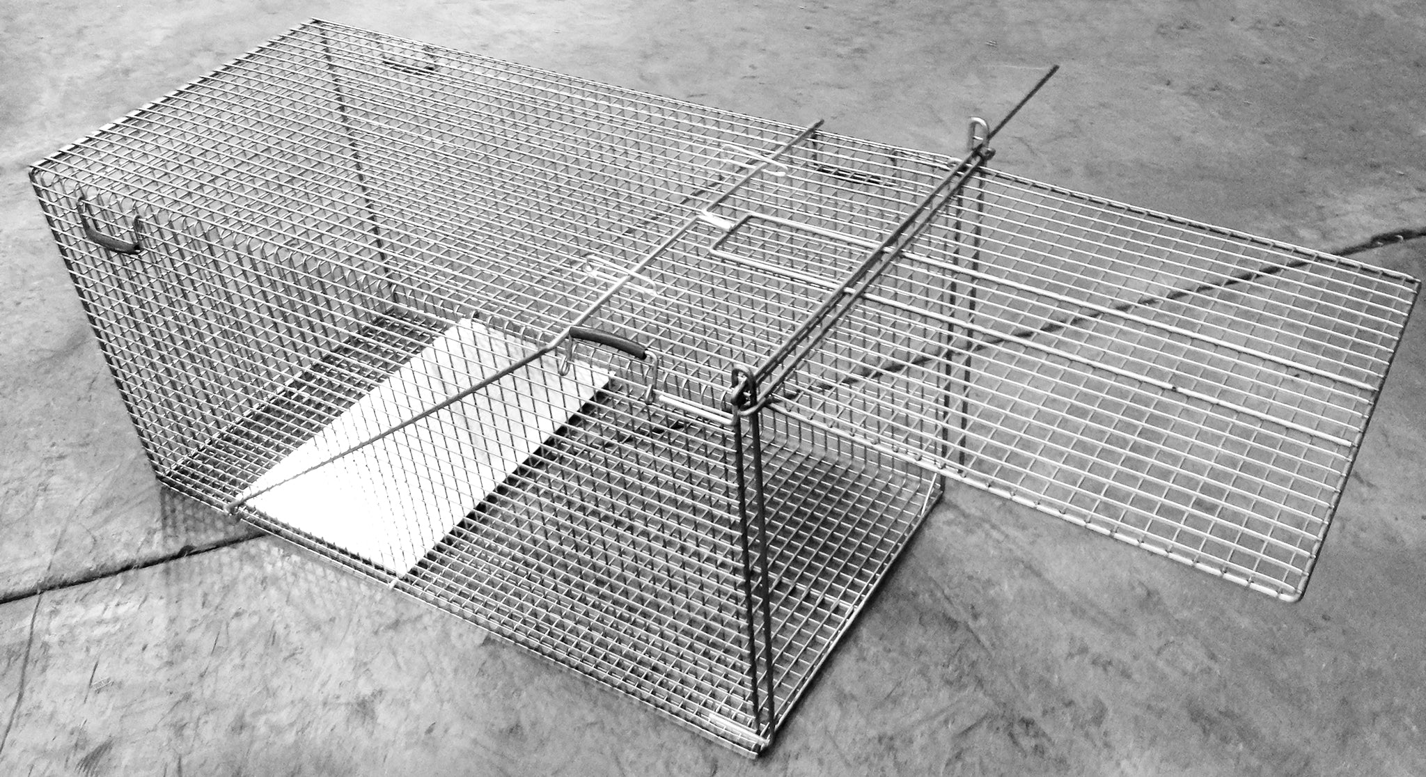 THE OMEO WOMBAT TRAP – IT'S A TRAP!